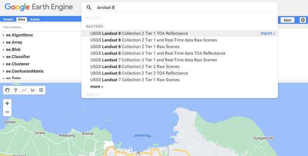 Mangrove Detection Using Landsat 8 and Google Earth Engine (Study Case: Kabupaten Bekasi ...