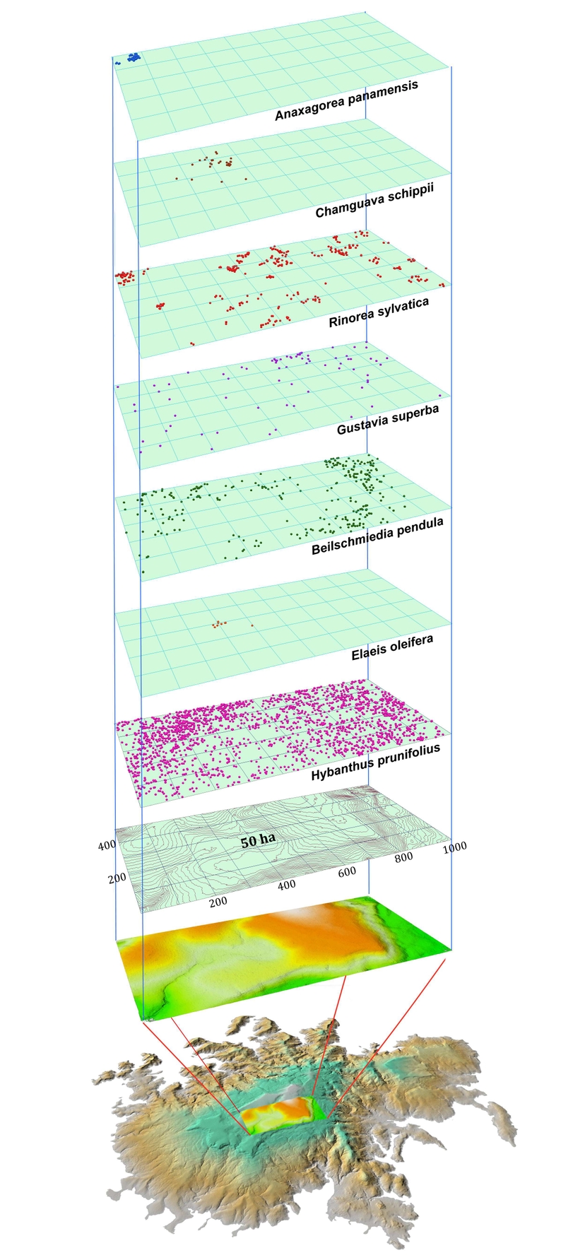 Geologic Map for the Republic of Panama | Spatialnode